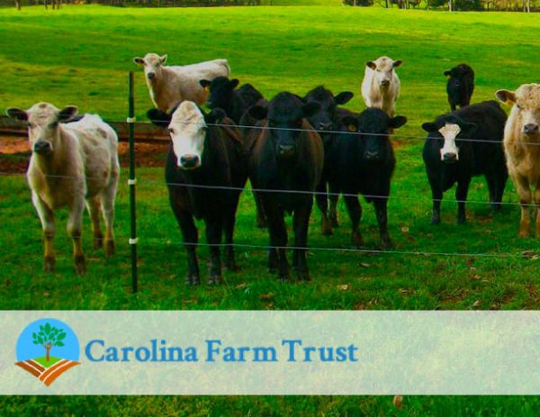 Protecting The Land That Feeds Us - Carolina Farm Trust