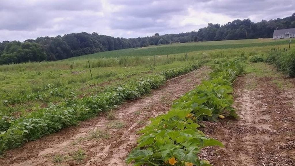 Carolina Farm Trust supports NC sustainable farms with recent events
