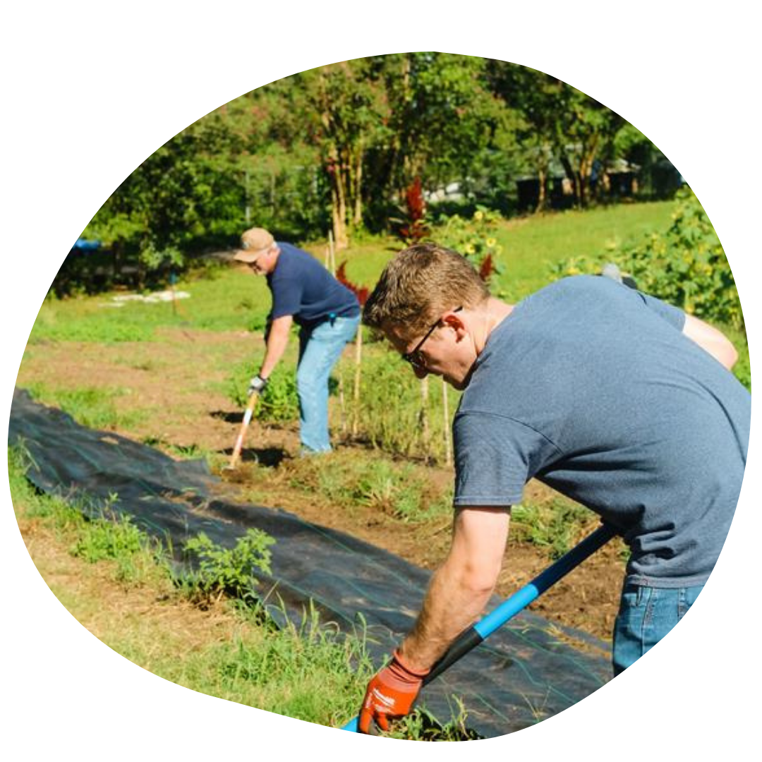 Volunteer - Carolina Farm Trust