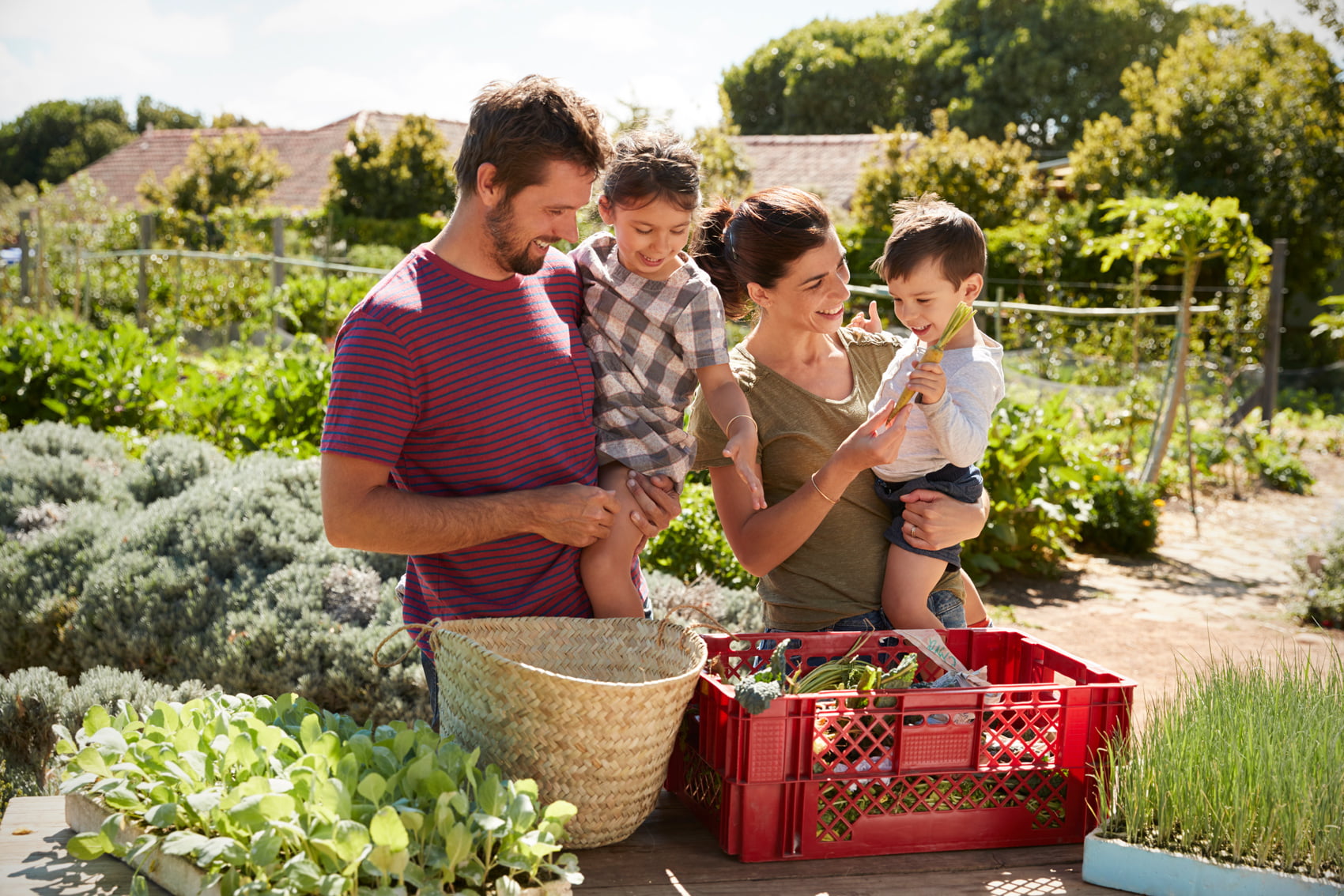 Urban Farm at Aldersgate Project - Carolina Farm Trust Current Project